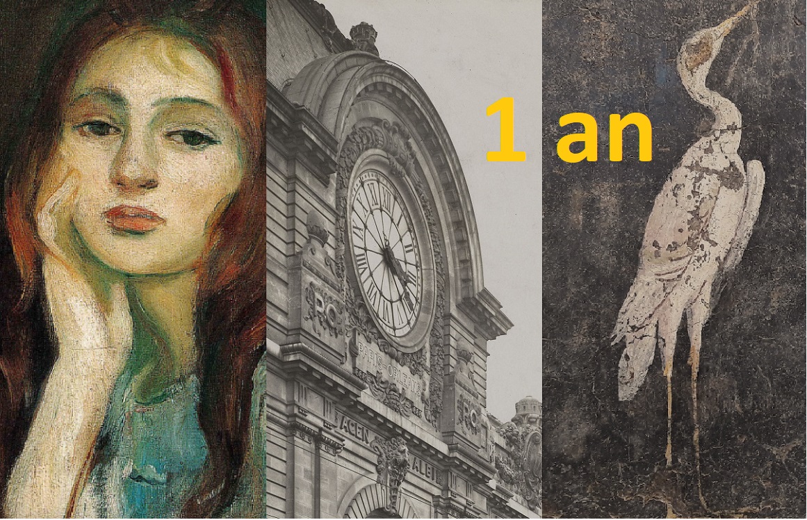 Un an déjà ! - D Muse